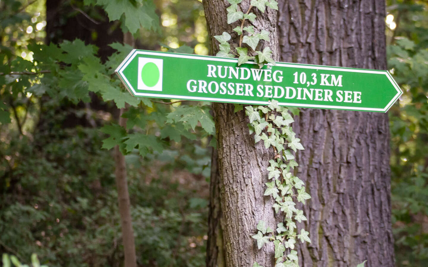 Wandern um den Seddiner See für Genießer
