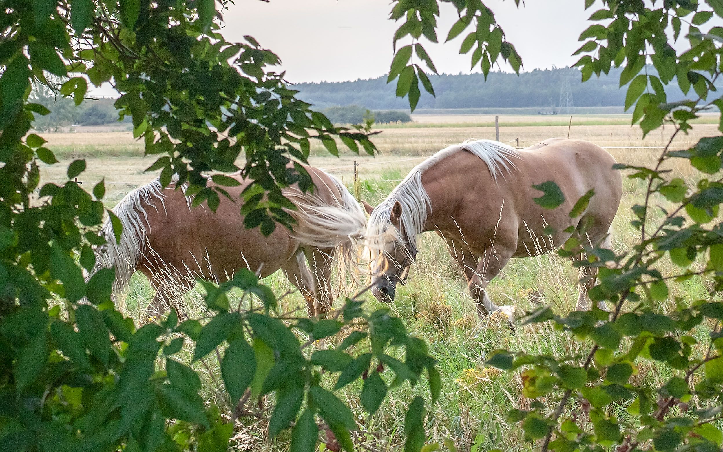 Die Stadt Treuenbrietzen und seine Radtouren